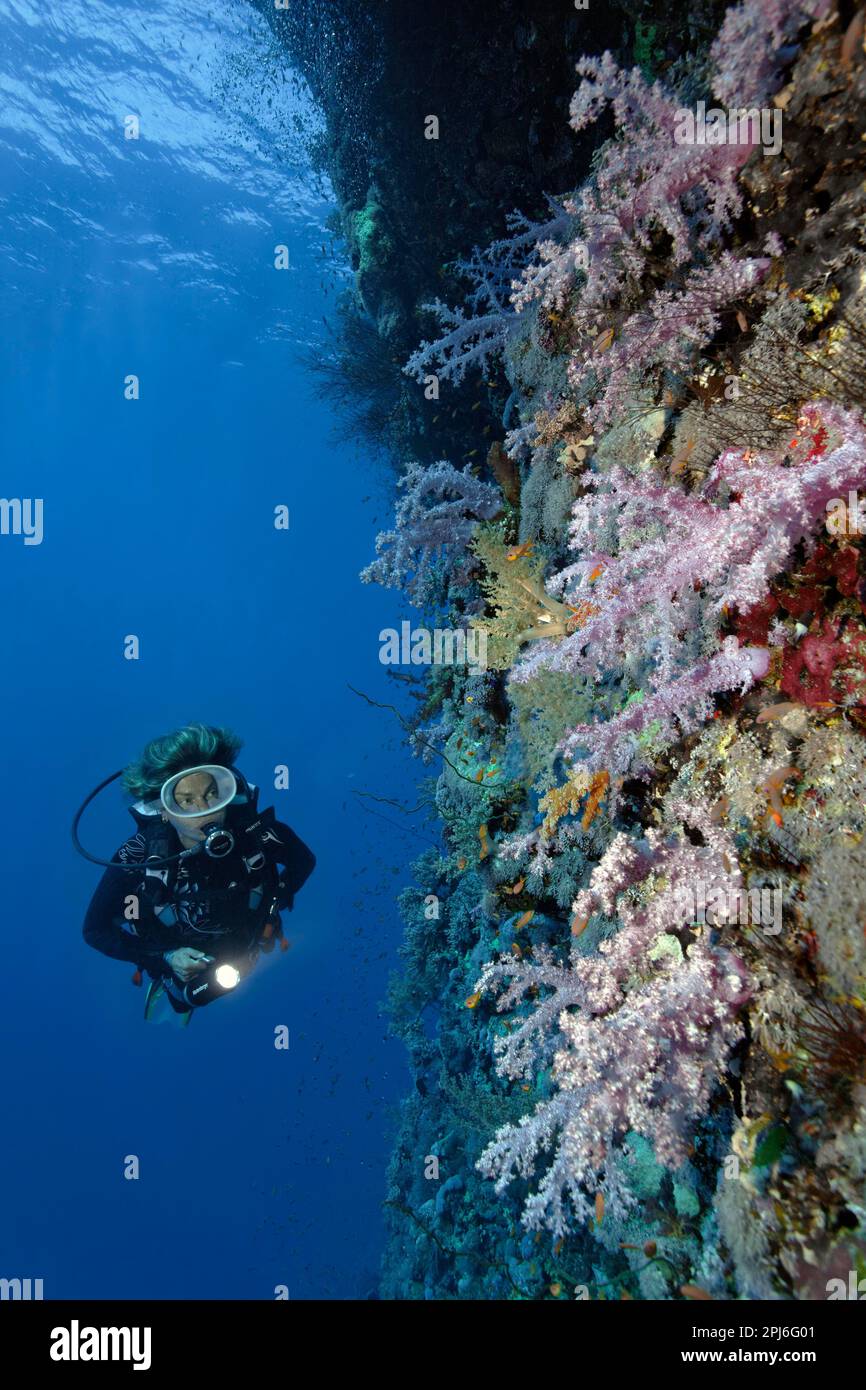Underwater Cliff Diving