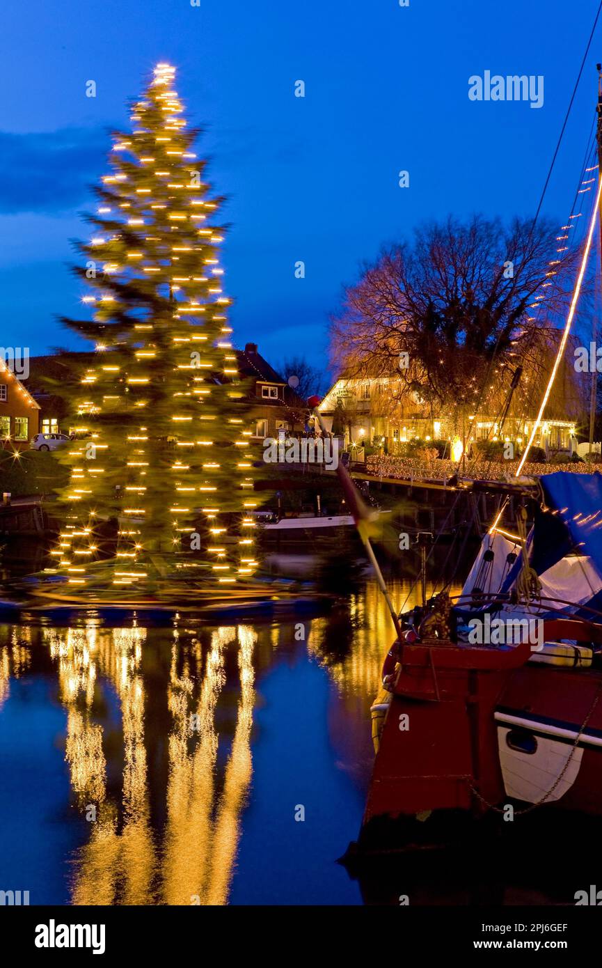 Floating fir tree in the harbour, Carolinensiel, Wittmund district ...