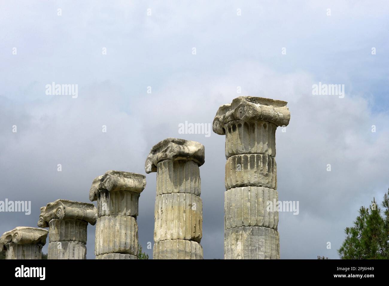 Lonic columns, Athena Temple, Priene, Turkey Stock Photo - Alamy