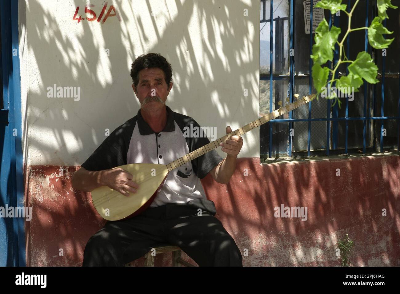 Turkish musician with saz, Bafasee, Turkey Stock Photo - Alamy