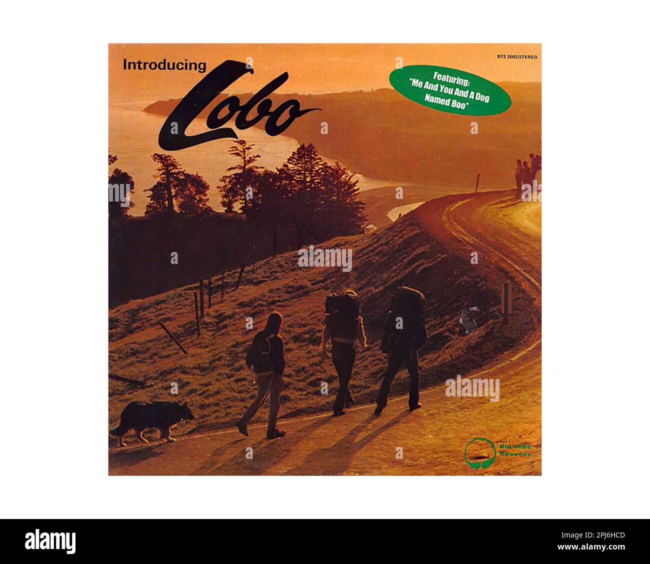 Lobo lobo Cut Out Stock Images & Pictures - Alamy