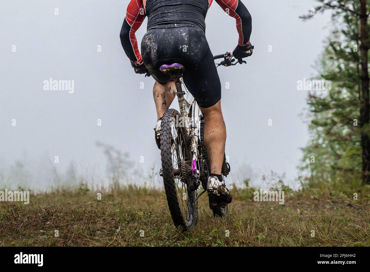 back male mountain bike cyclist riding on forest trail, drops dirt on ...