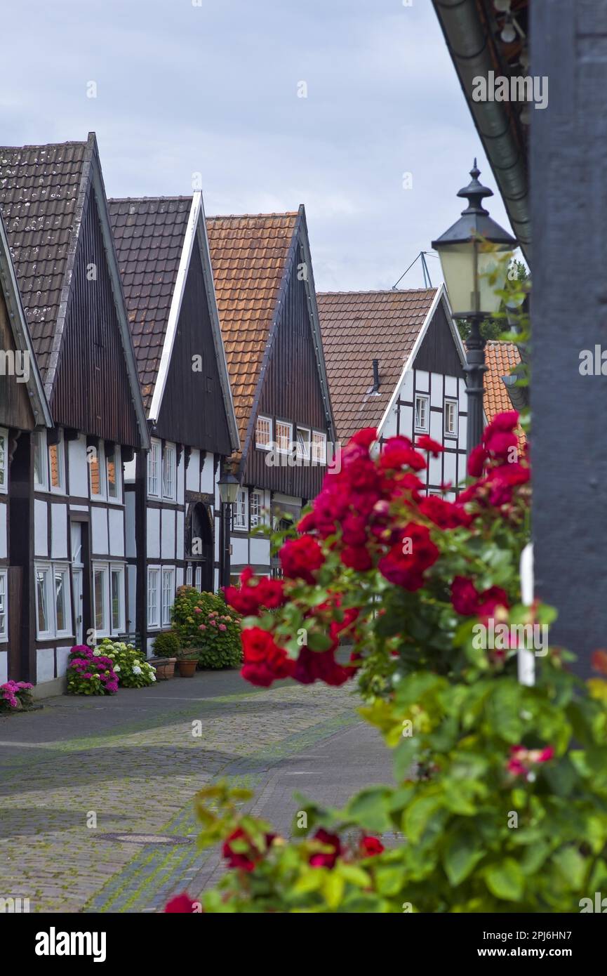 Downtown rheda hi-res stock photography and images - Alamy