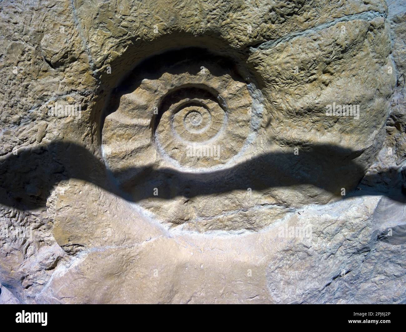 In the Ellerhoop arboretum, giant ammonite, Pinneberg district, Germany ...