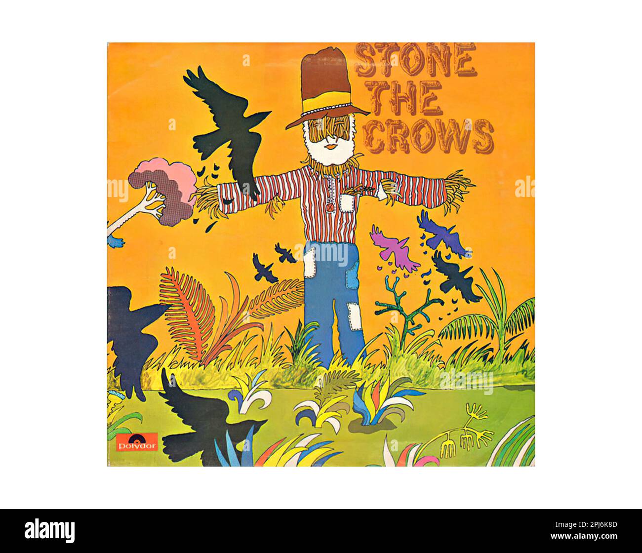 Baby crows Cut Out Stock Images & Pictures - Alamy