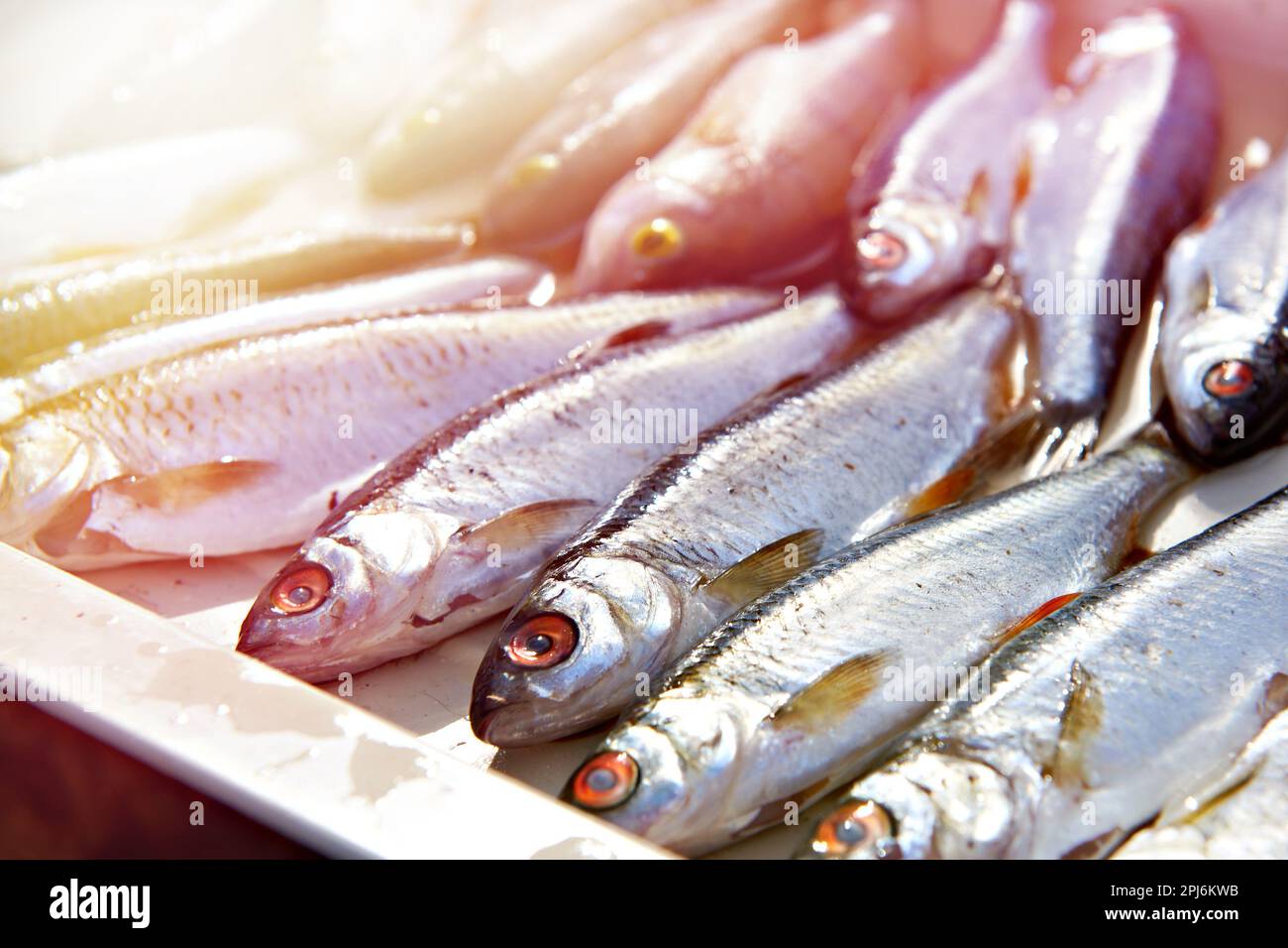 Perch and roach hi-res stock photography and images - Alamy