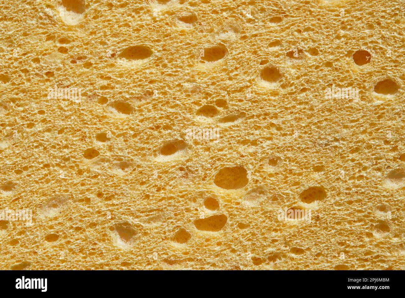 Close-up high-res photo of a new yellow cleaning sponge with visible ...