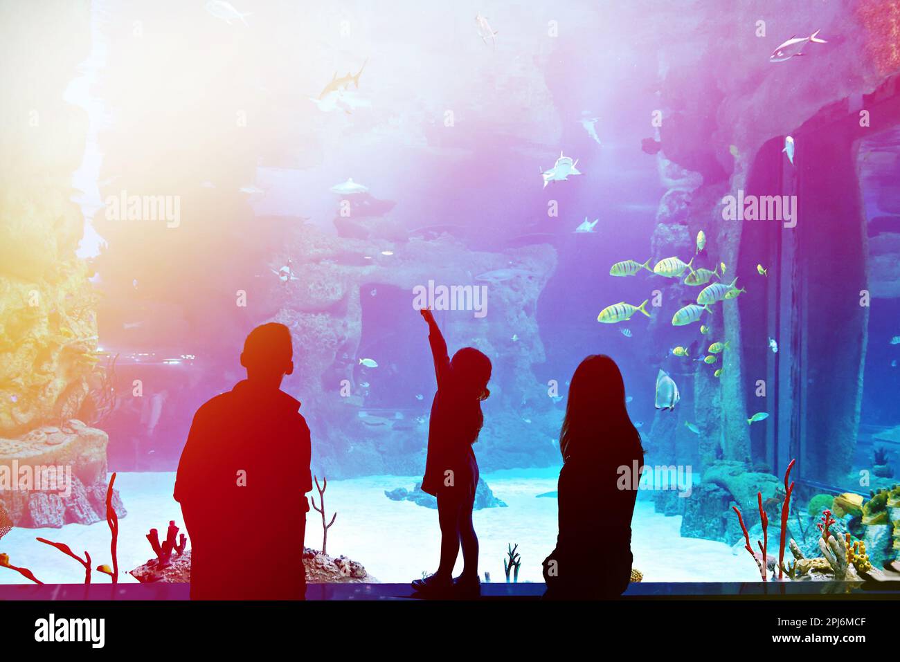 Underwater fish atlantis hi-res stock photography and images - Alamy