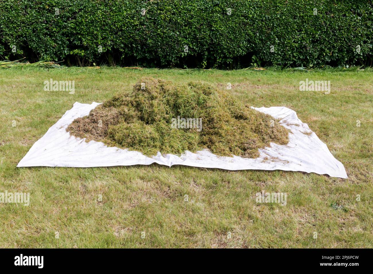 Aeration lawn autumn hi-res stock photography and images - Alamy