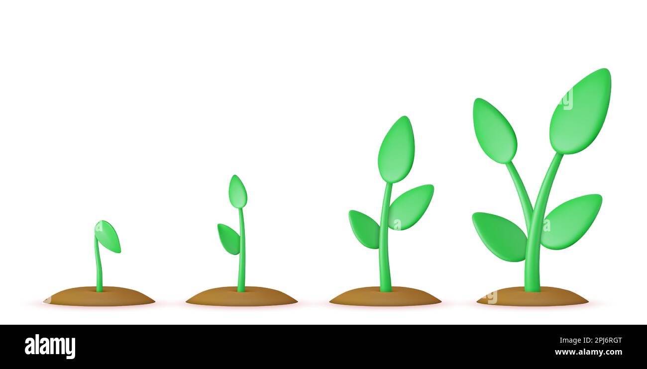 3d sprouts. Phases plant growing Stock Vector Image & Art - Alamy