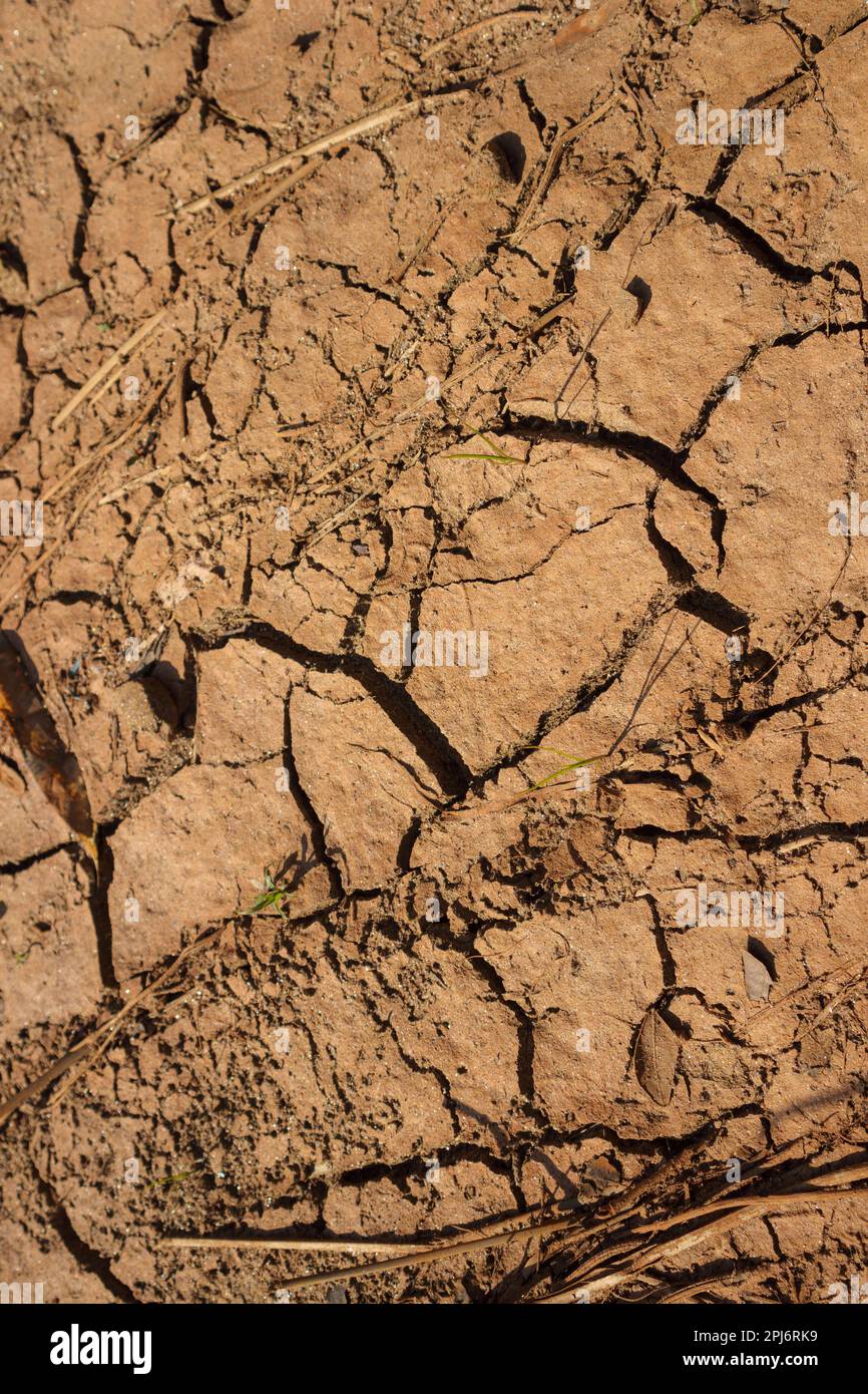 Arid Dry Cracked mud and soil earth texture background Stock Photo - Alamy