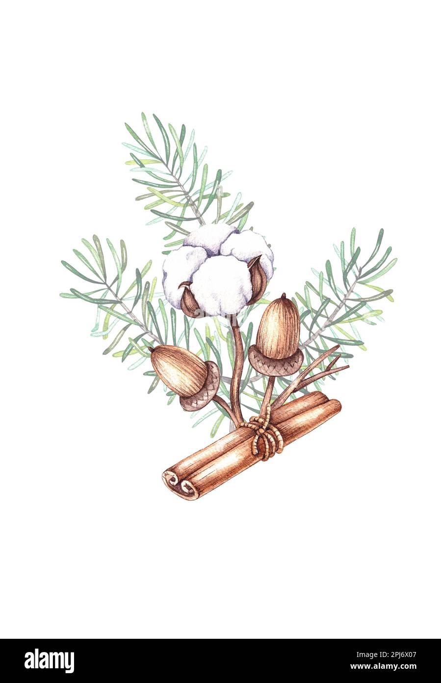 Watercolor Christmas bouquet with cotton, needles, cinnamon, acorn on a ...