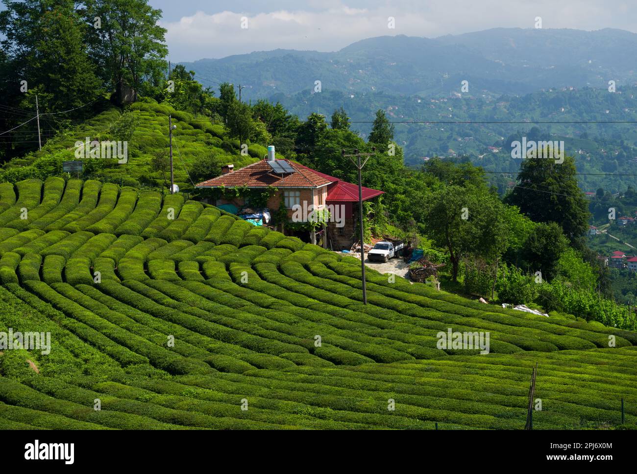 Turkey country farming hi-res stock photography and images - Alamy