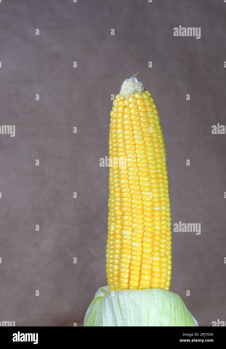 Ear maize hi-res stock photography and images - Alamy