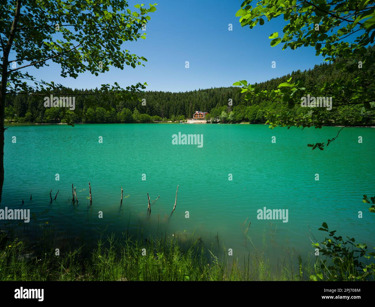 Artvin, Turkey. Turquoise lake among the trees. Karagol nature park in ...