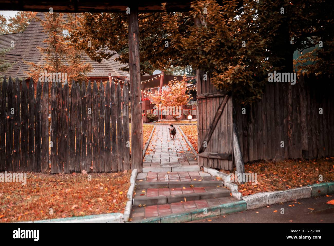 Entrance to the summer terrace. Open wooden gate Stock Photo - Alamy