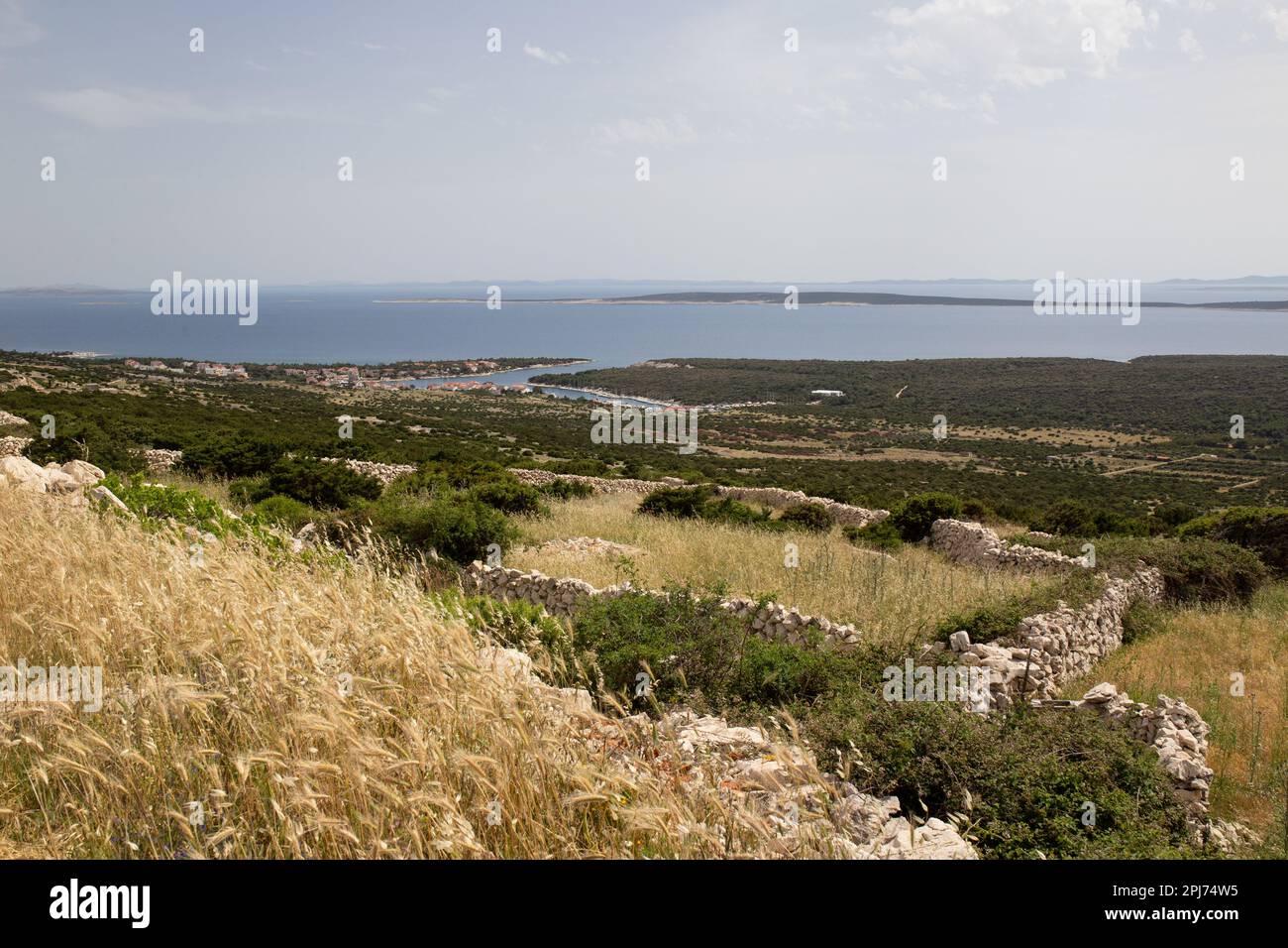 The Island of Lun, Croatia Stock Photo - Alamy