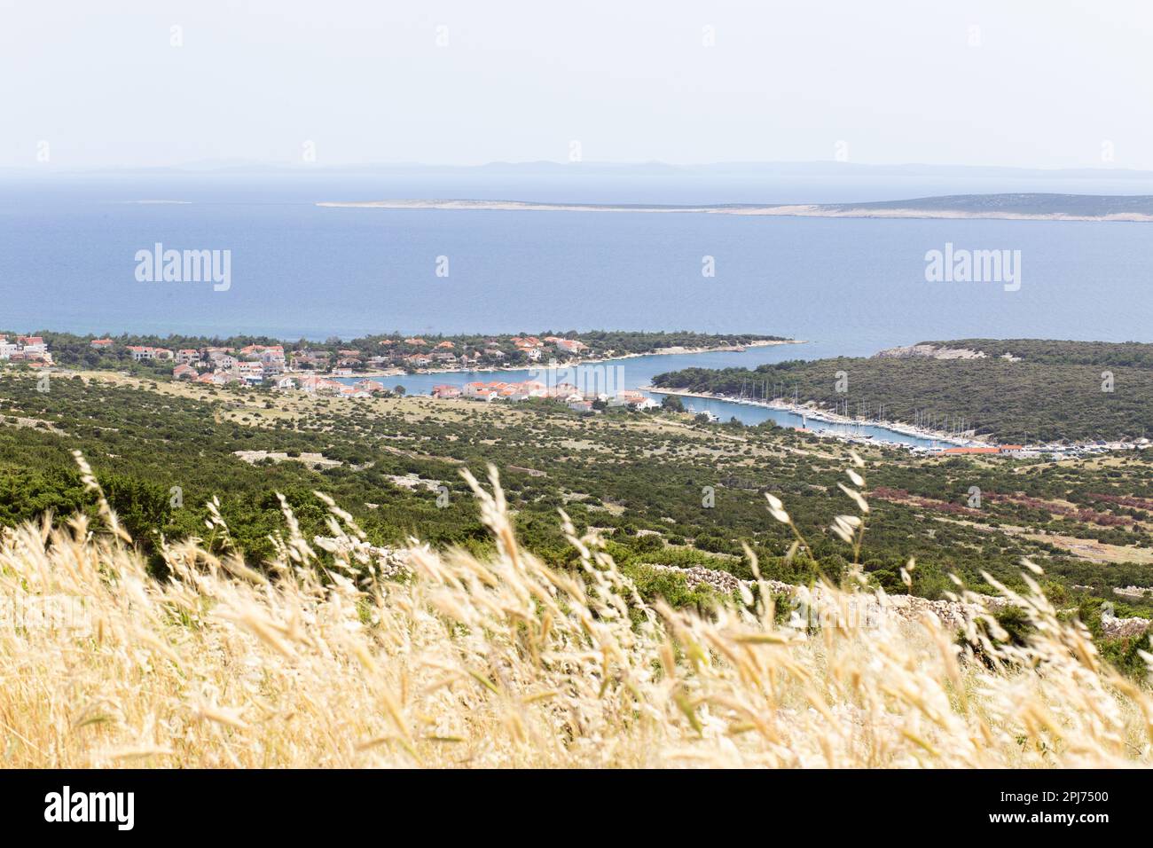 The Island of Lun, Croatia Stock Photo - Alamy