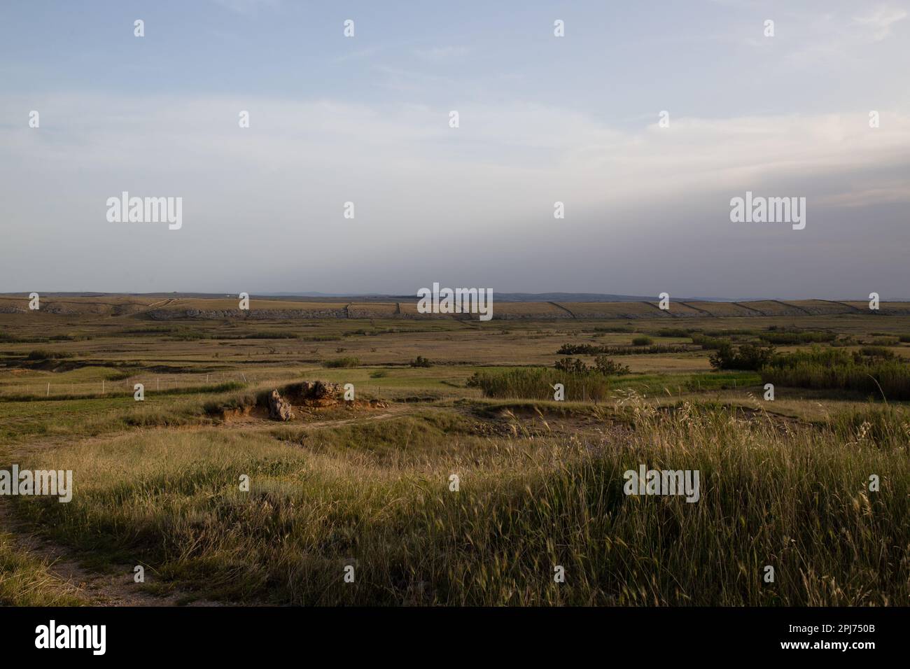 The Island of Lun, Croatia Stock Photo - Alamy
