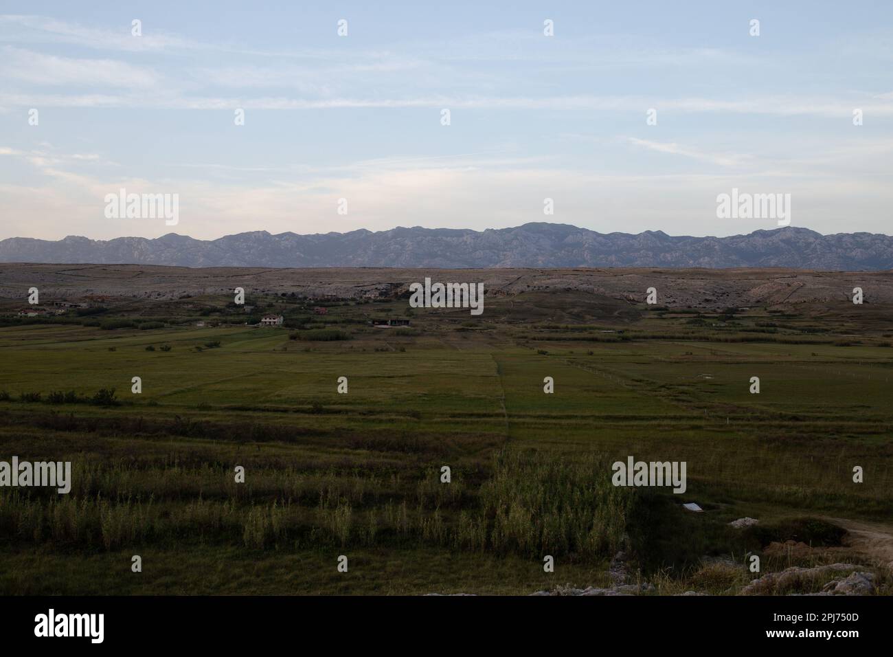 The Island of Lun, Croatia Stock Photo - Alamy