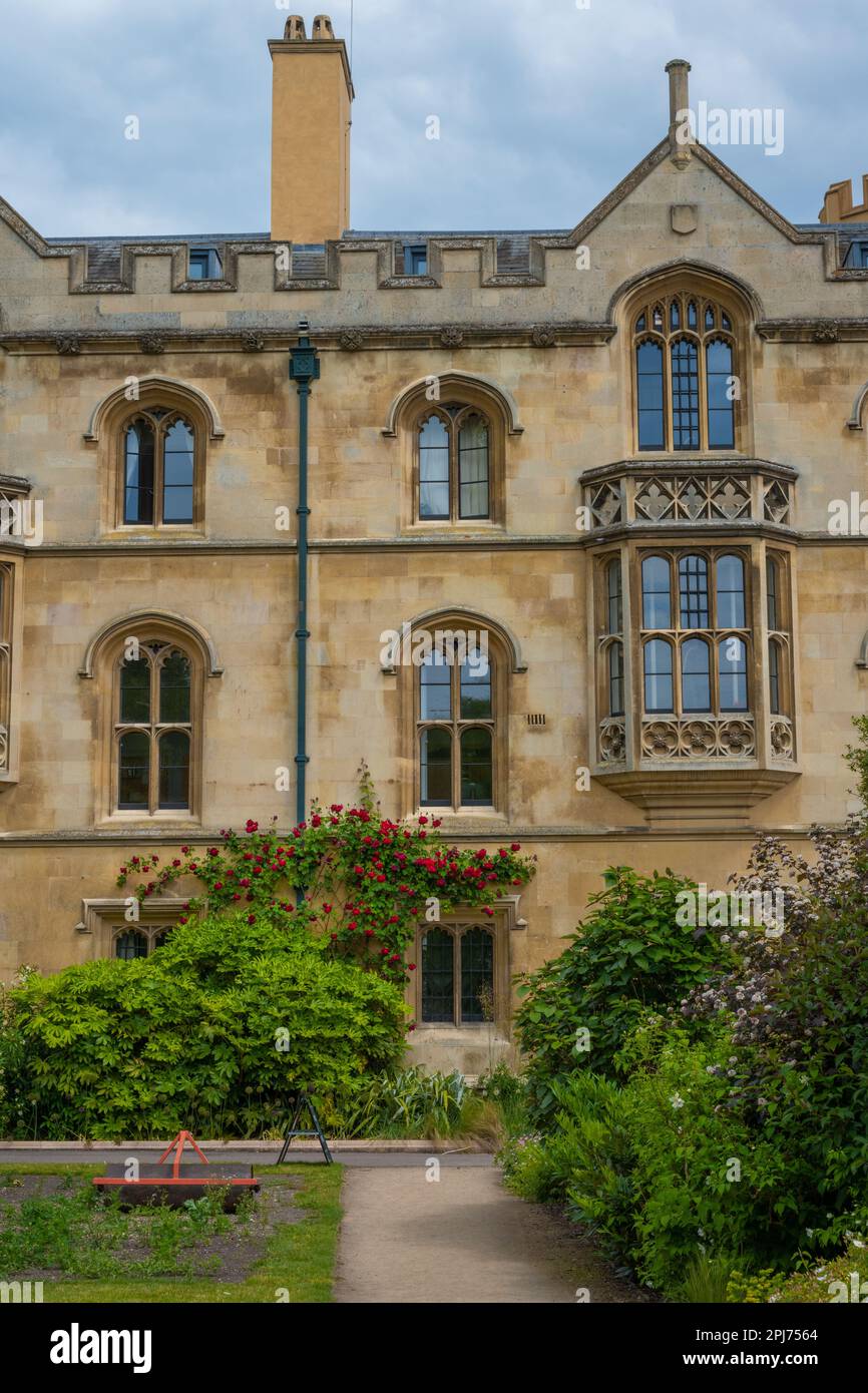 Medieval architecture and historical windows of Nevile's Court at ...
