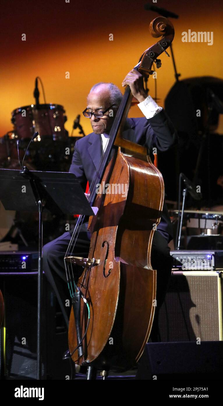 March 30, 2023, New York City, New York, USA: THE TITANS OF JAZZ BASS ...