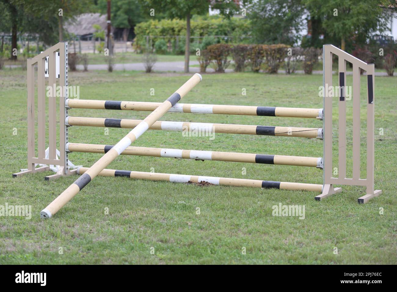Show jumping poles obstacles, barriers, waiting for riders on show ...
