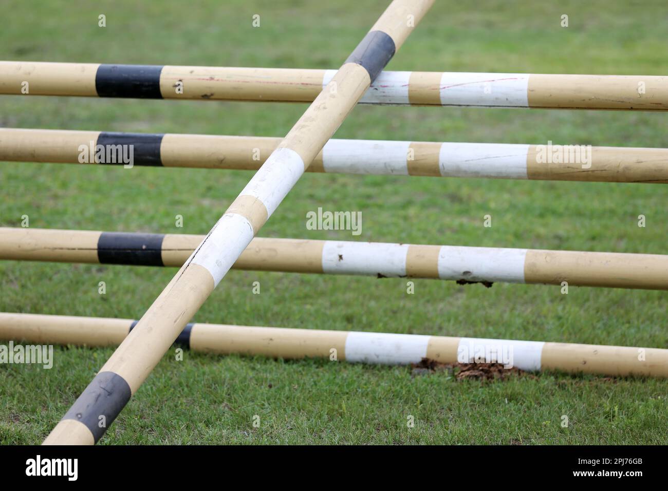 Show jumping poles obstacles, barriers, waiting for riders on show ...
