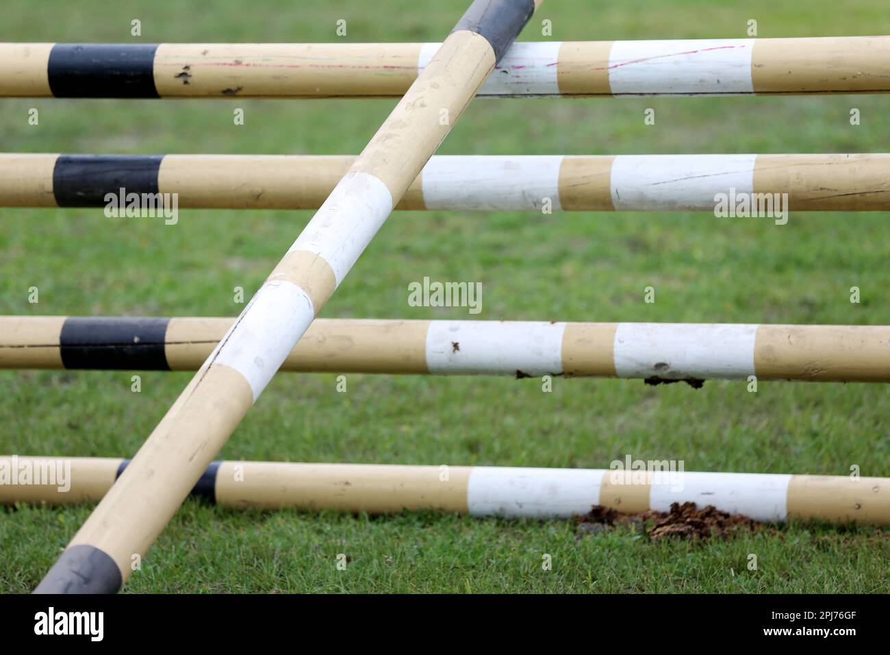 Show jumping poles obstacles, barriers, waiting for riders on show ...