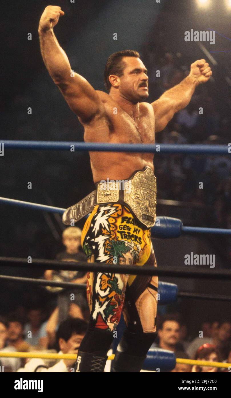 1988 Rick Rude Photo by John Barrett/PHOTOlink Stock Photo - Alamy
