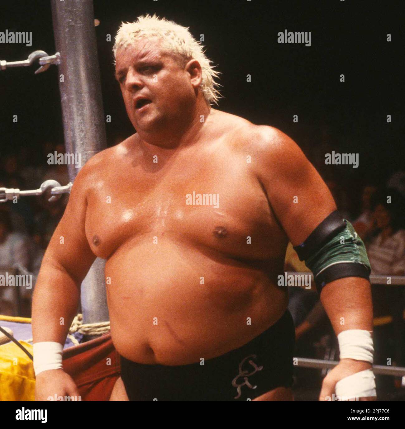Dusty rhodes hi-res stock photography and images - Alamy