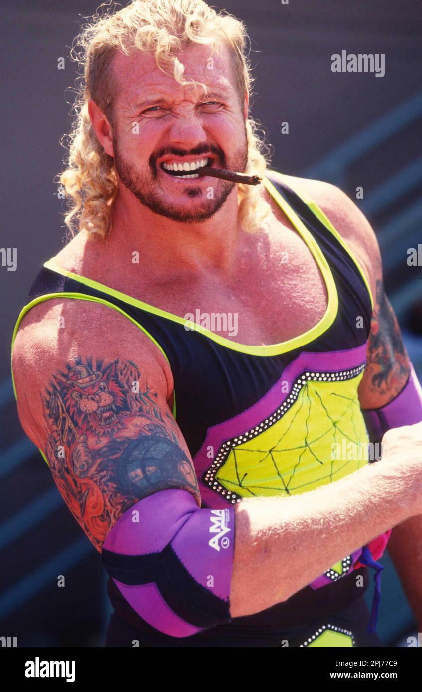 1995 Diamond Dallas Page Photo by John Barrett/PHOTOlink Stock Photo ...