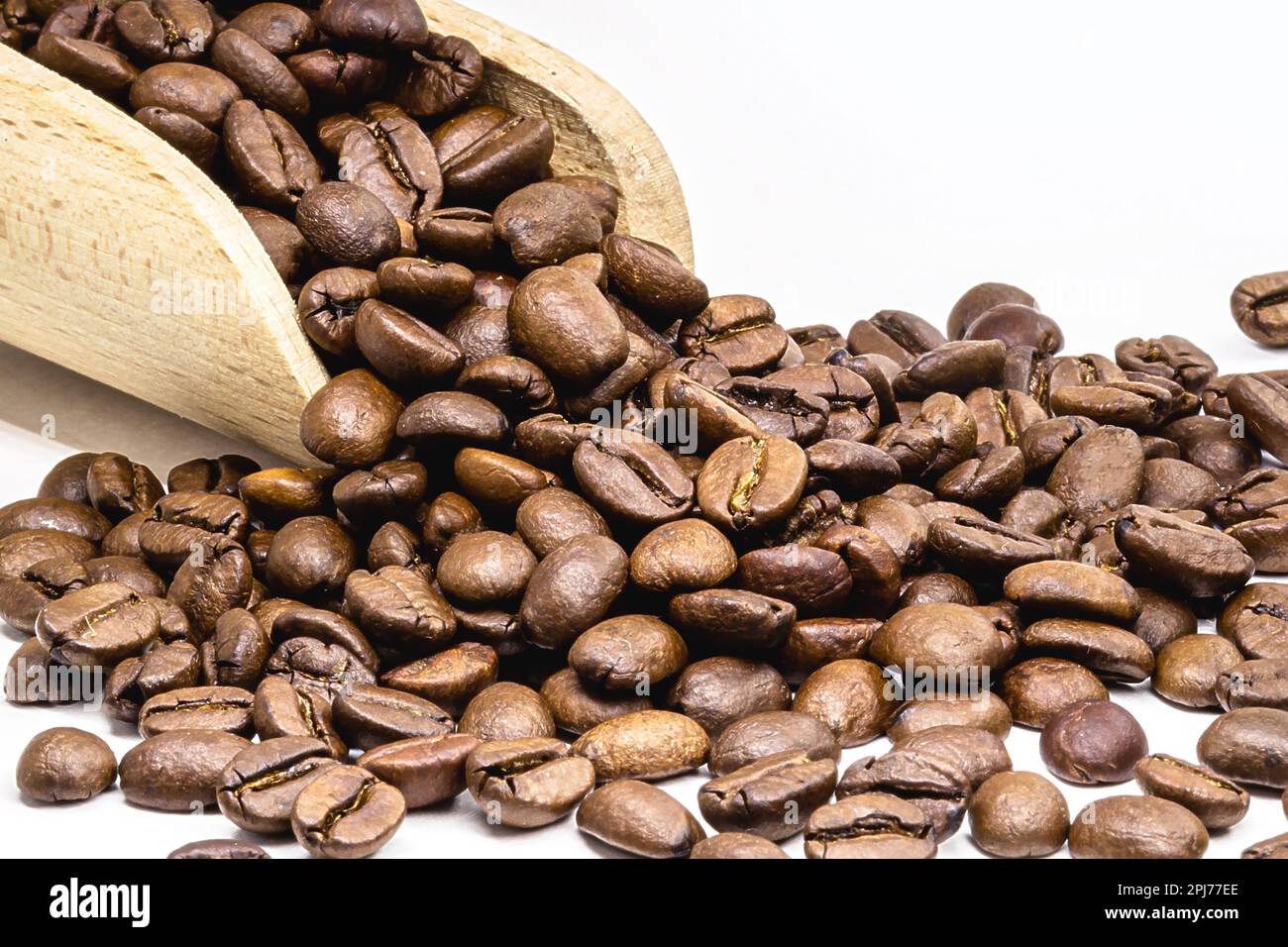 coffee roasted seeds in wooden spoon, export type brazil coffee ...