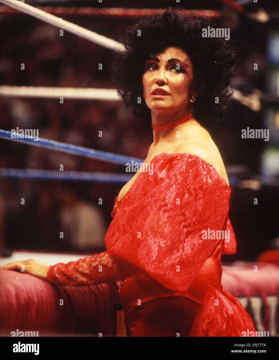 1987 Sherri Martel Photo by John Barrett/PHOTOlink Photo via Credit ...