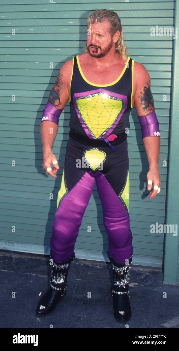 1995 Diamond Dallas Page Photo By John Barrettphotolink Photo Via Credit Newscomalamy Live