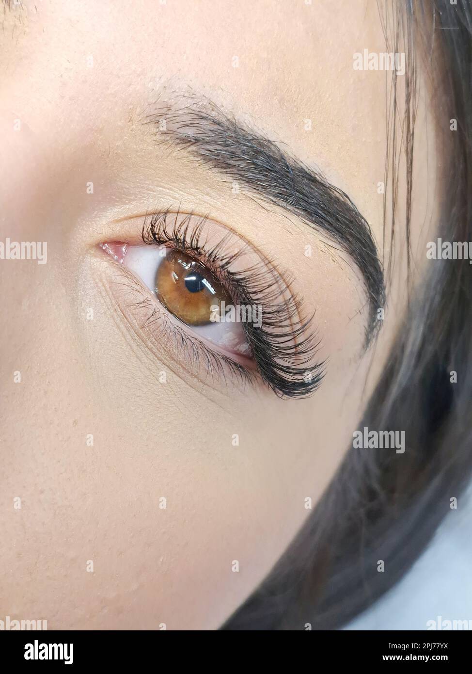 close up of eye with eyelash extensions ,beauty salon treatment. High ...