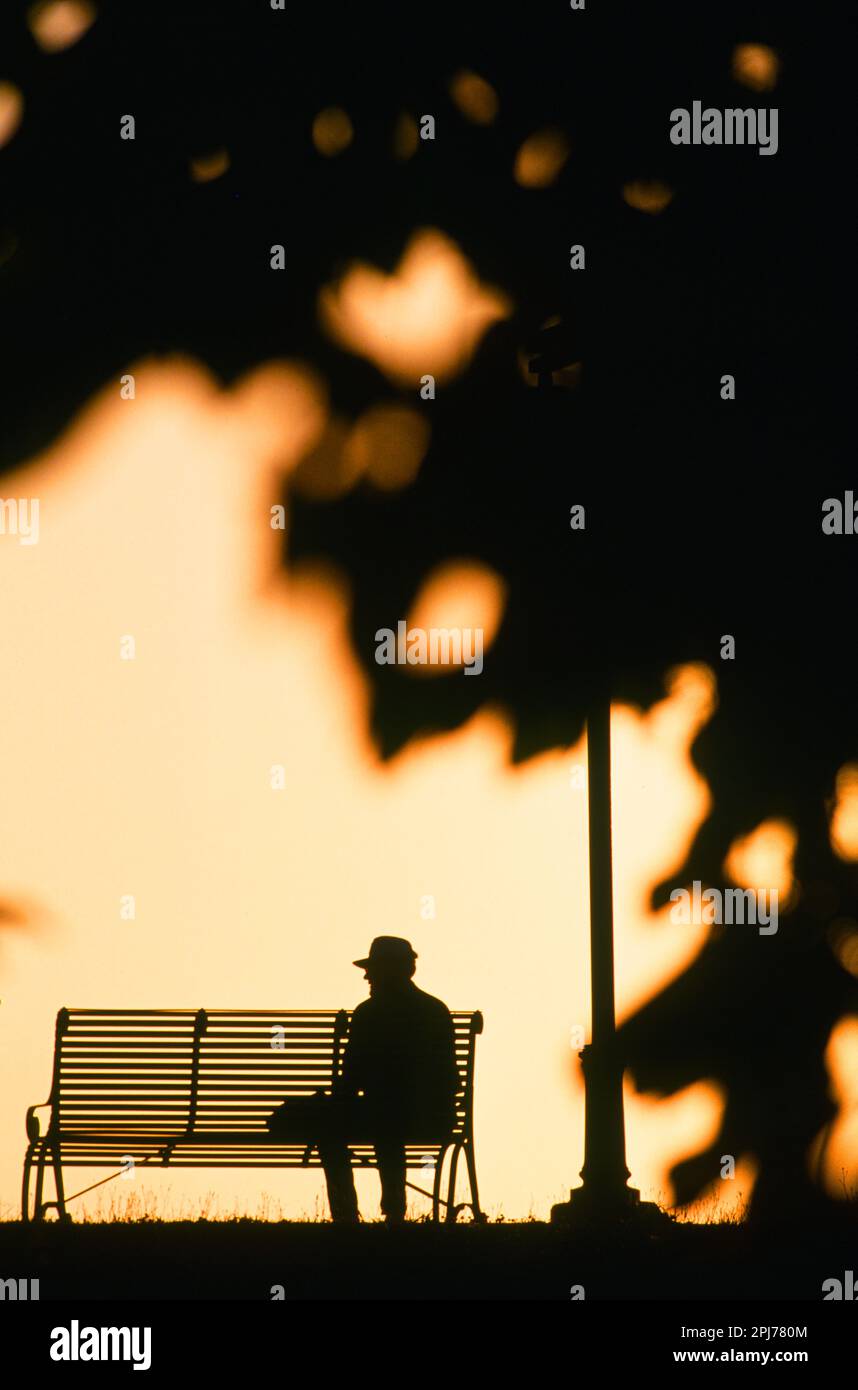 Silhouette of a lonely man sitting on a park bench at sunset I cut it ...