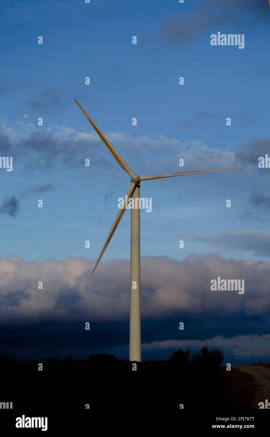 Alone wind hi-res stock photography and images - Alamy