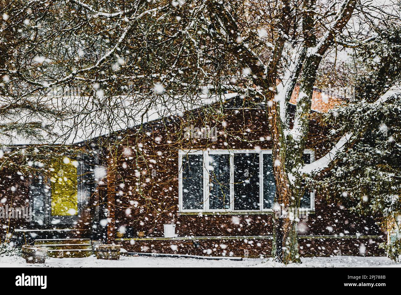 Winter, it's snowing. A wonderful atmosphere in the Canadian ...