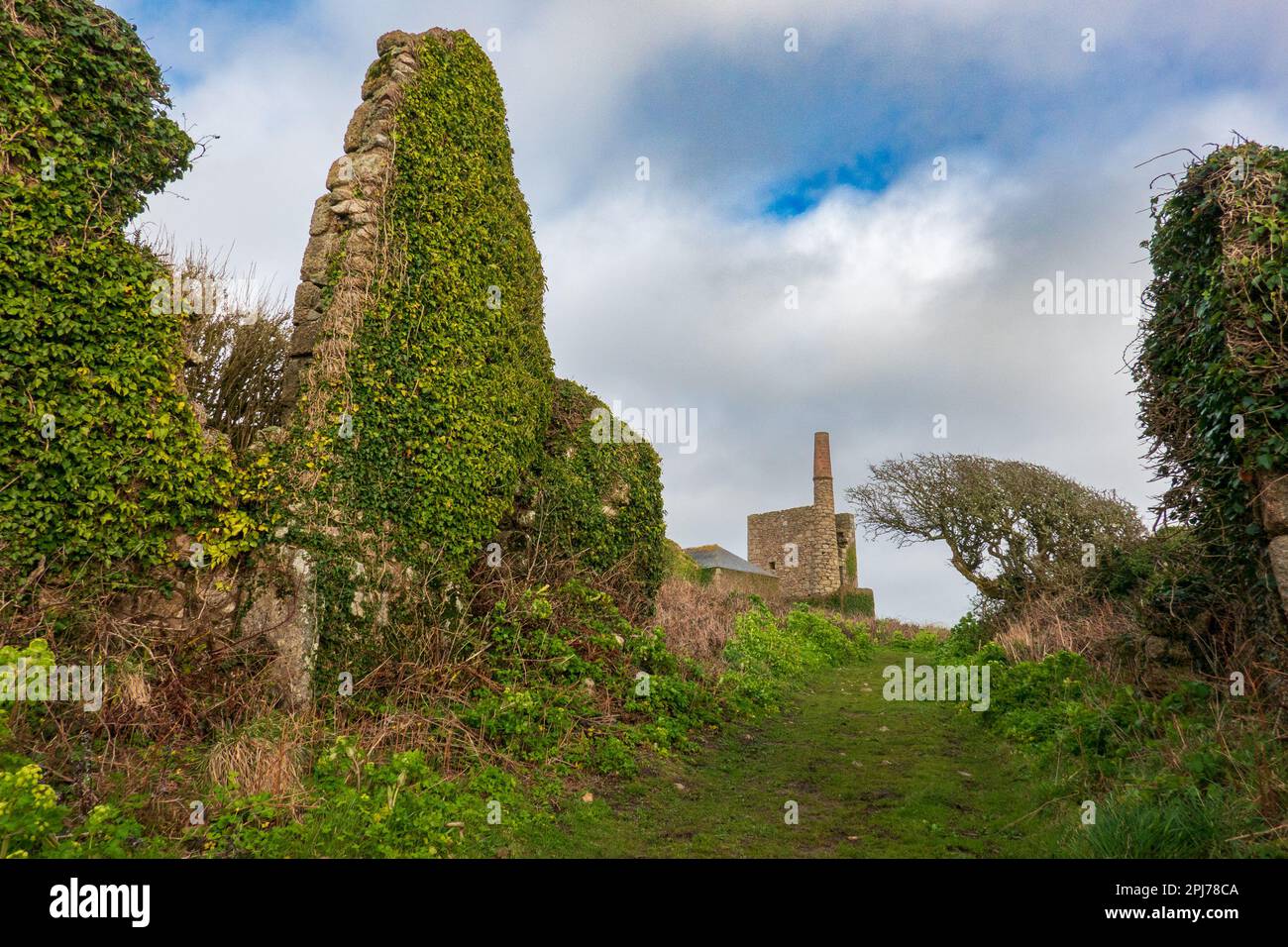 Drea hi-res stock photography and images - Alamy