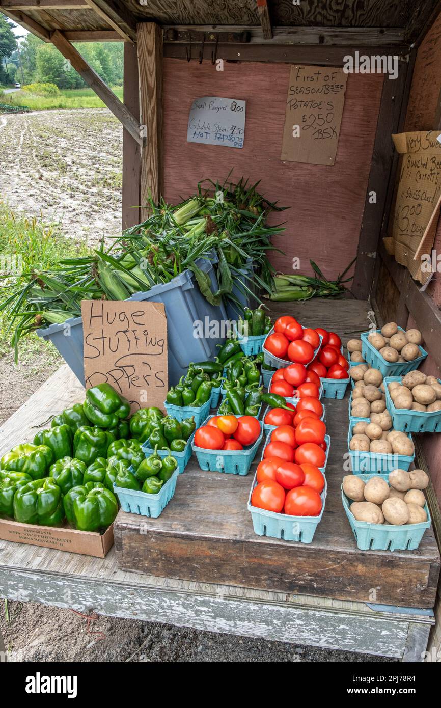 Vegetables for sale at a small roadside farm stand in Massachusetts ...
