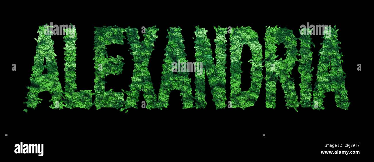 Alexandria lettering, Alexandria Forest Ecology Concept on Black ...