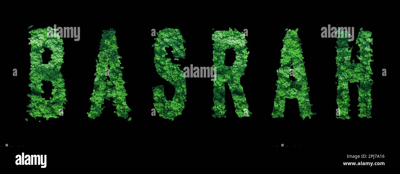 Basrah forest hi-res stock photography and images - Alamy