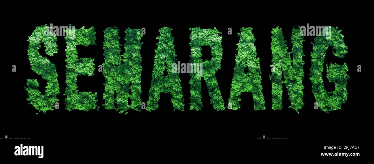 Semarang lettering, Semarang Forest Ecology Concept on Black, Clipping ...