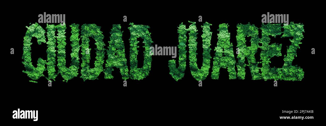 Ciudad Juarez lettering, Ciudad Juarez Forest Ecology Concept on Black ...