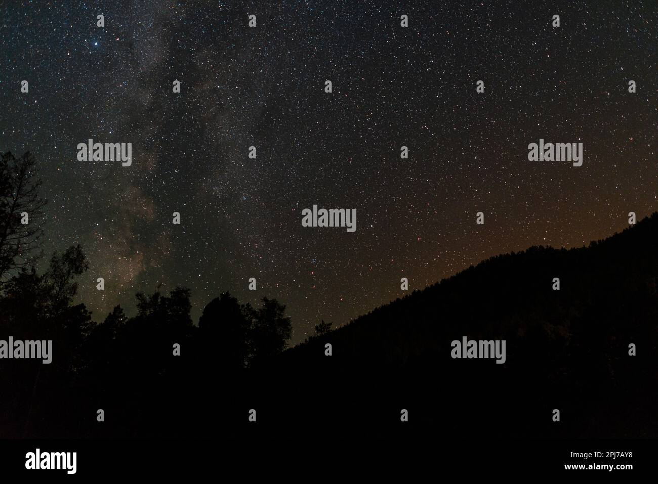 Milky way over starry sky over trees with light and mountain in ...