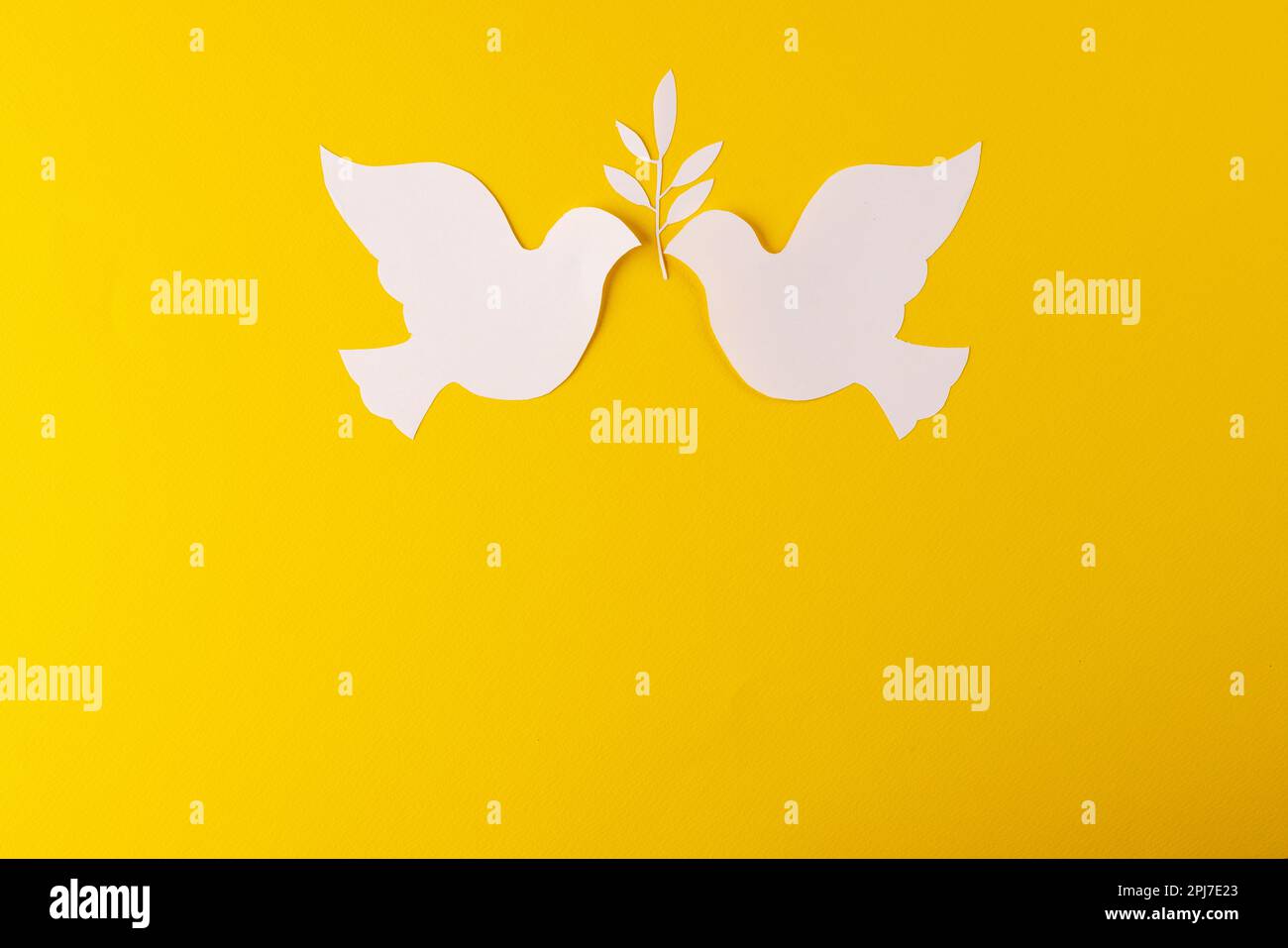 Close up of two white doves with leaf and copy space on yellow ...
