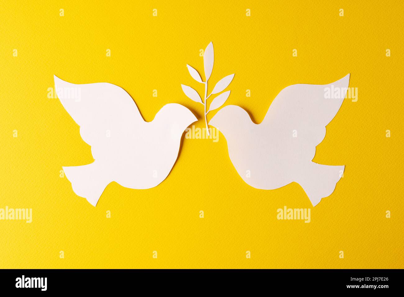 Close up of two white doves with leaf and copy space on yellow ...