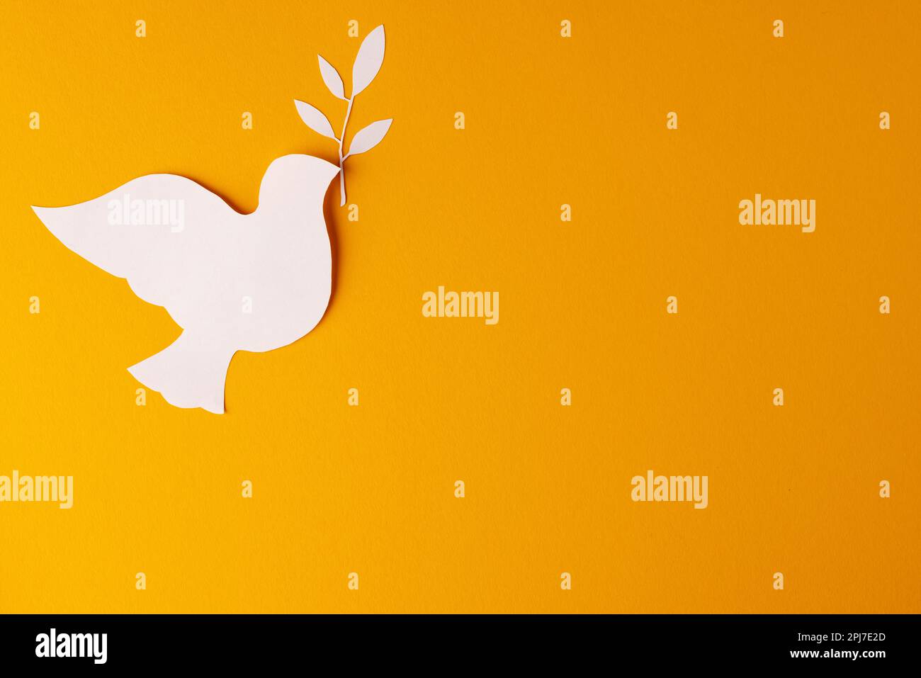 Close up of white dove with leaf and copy space on yellow background ...