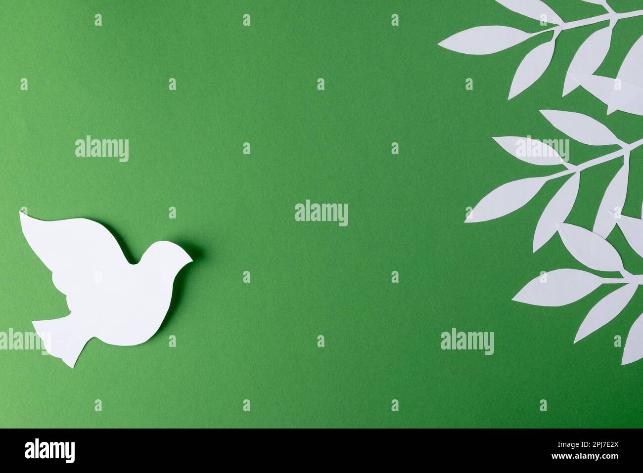 Dove with green background hi-res stock photography and images - Alamy